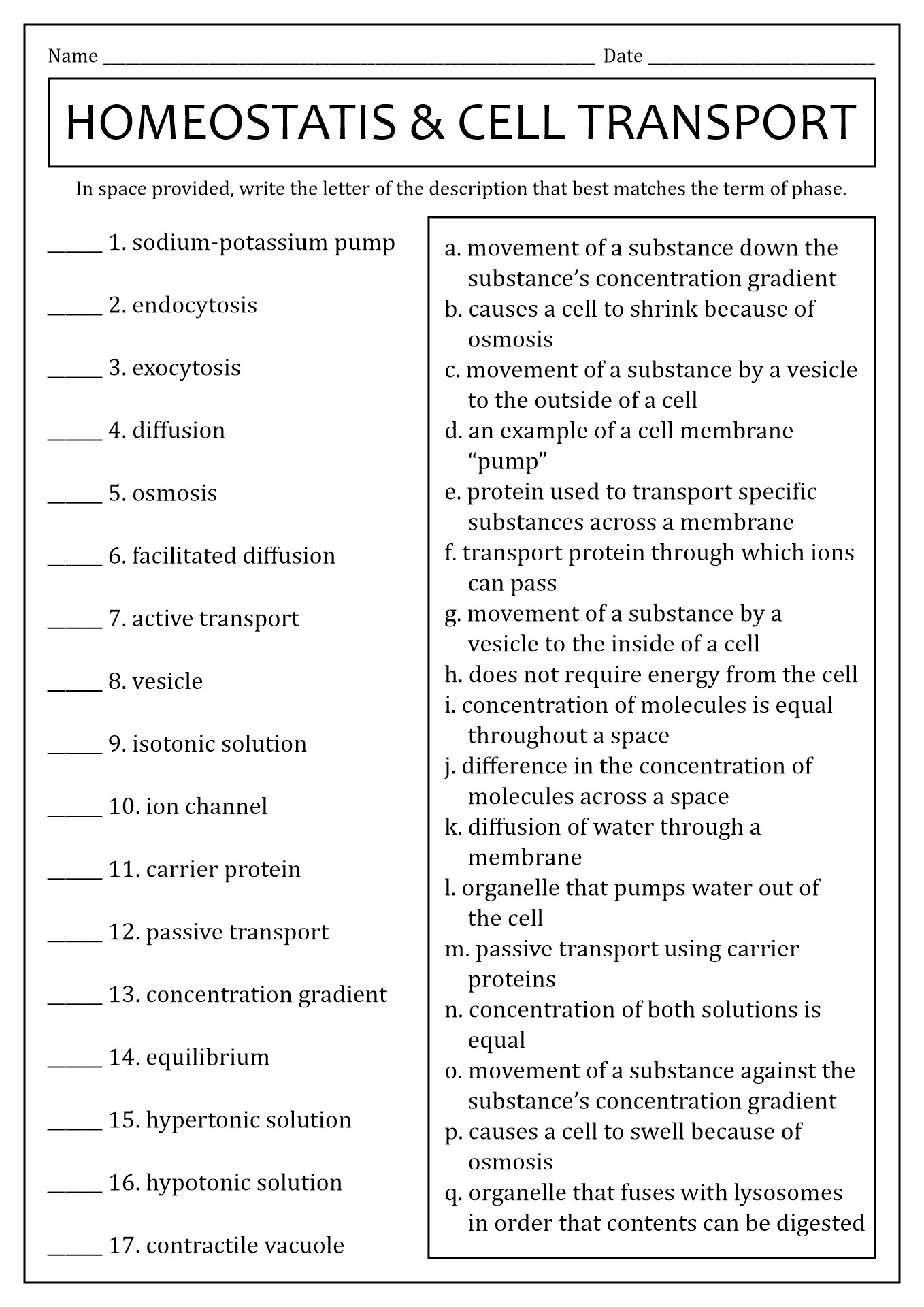 15 Best Images Of Cell Vocabulary Worksheets Cell Parts Matching 15 Best Images Of Cell Vocabulary Worksheets Cell Parts Matching