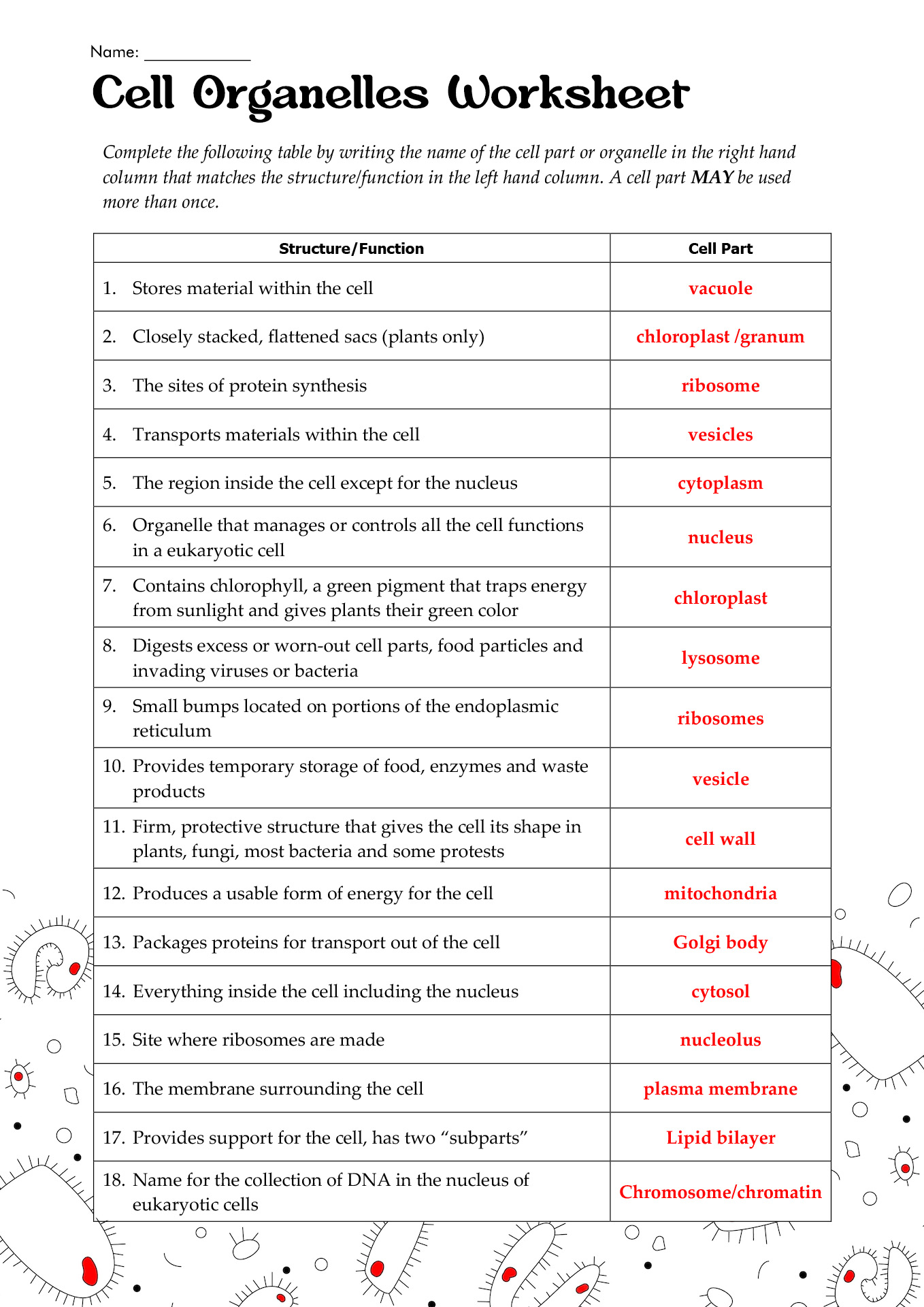 13 Best Images Of Animal Research Worksheet Animal Research Paper