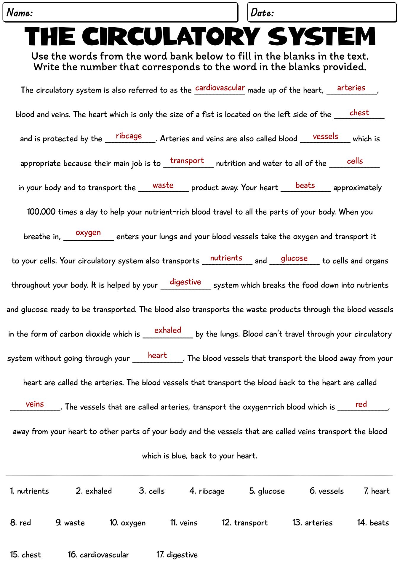 18 Best Images Of Circulatory System Worksheets And Answers 18 Best Images Of Circulatory System Worksheets And Answers