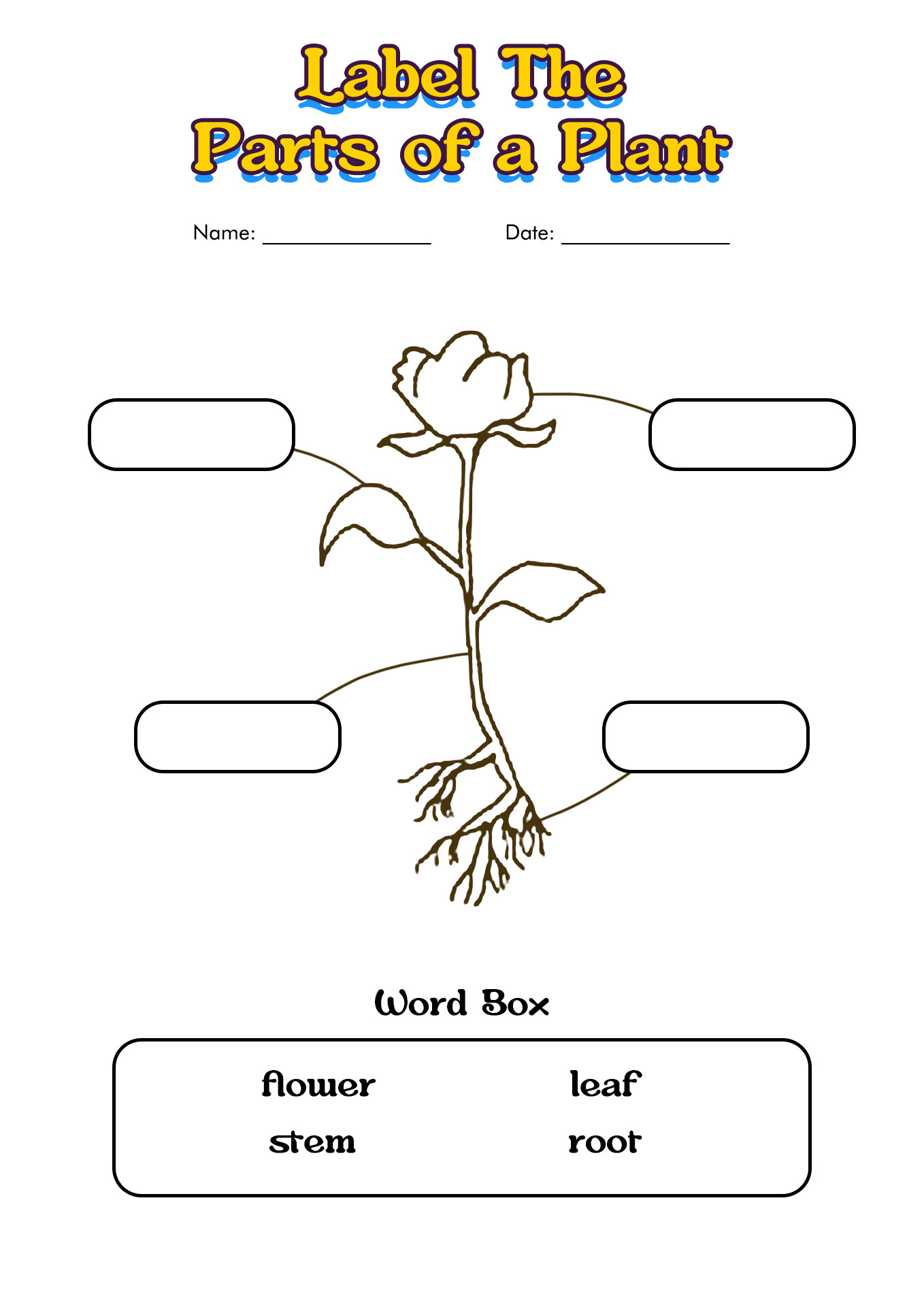 14 Best Images Of Plant Worksheets For Grade 1 Printable Plant Parts 