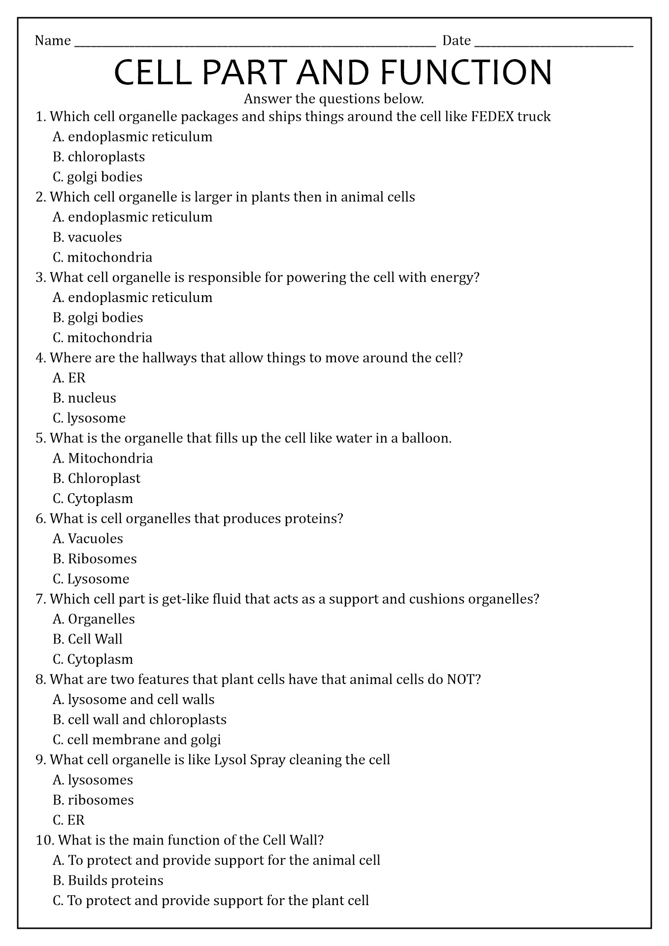 Cell Membrane Grade 10 Simple Functions And Diagram