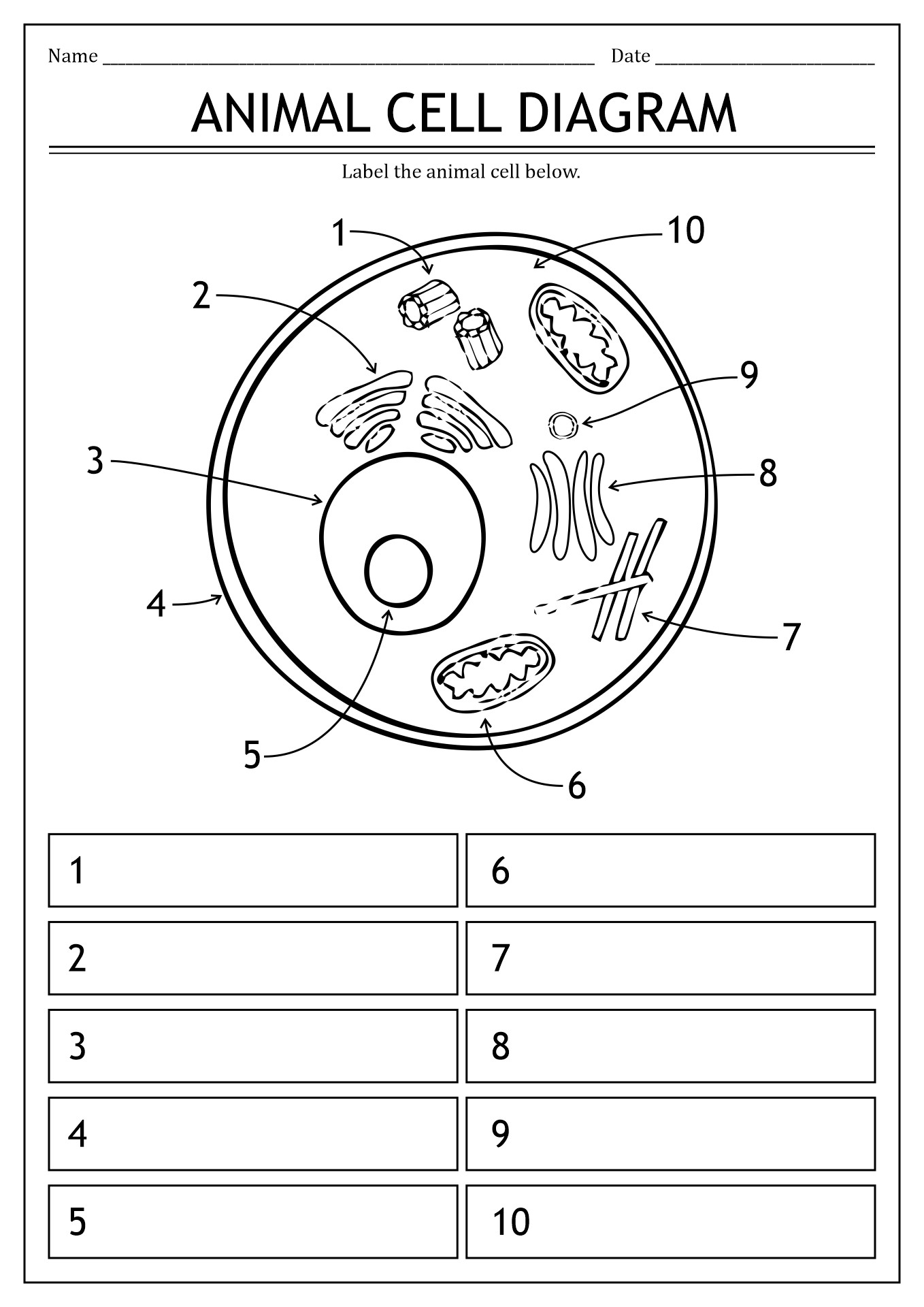 14 Best Images Of Label Cell Organelles Worksheet Label Animal Cell 14 Best Images Of Label Cell Organelles Worksheet Label Animal Cell