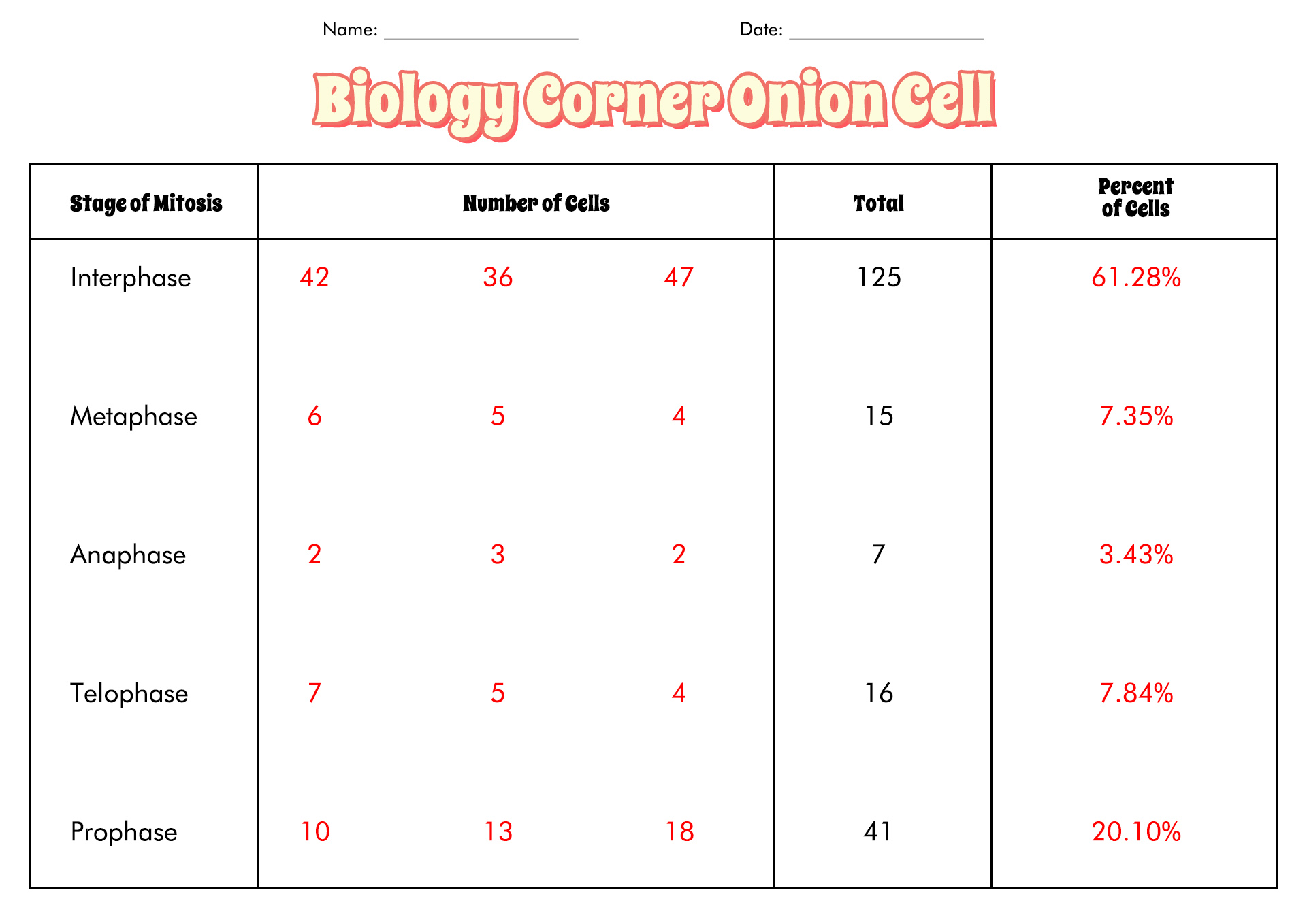 14 Best Images Of Onion Cell Mitosis Worksheet Answers Cell Cycle And