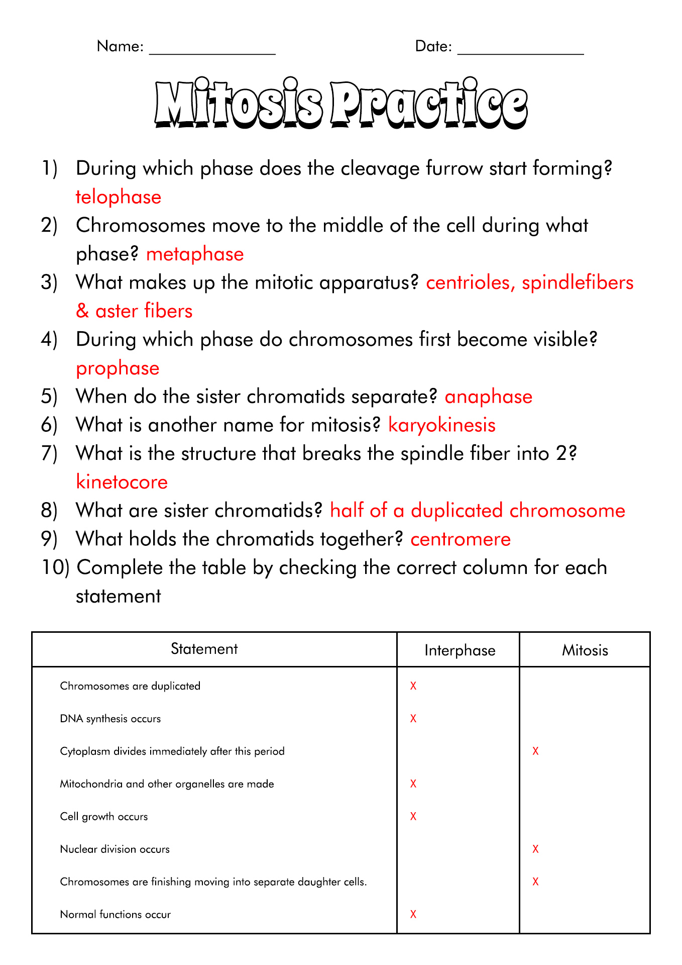 14 Best Images Of Onion Cell Mitosis Worksheet Answers Cell Cycle And 14 Best Images Of Onion Cell Mitosis Worksheet Answers Cell Cycle And