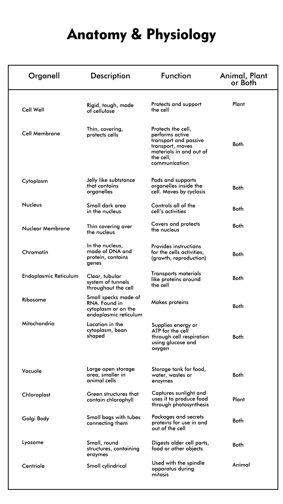 14 Best Images Of Cell Organelle Riddles Worksheet Answers Cells And