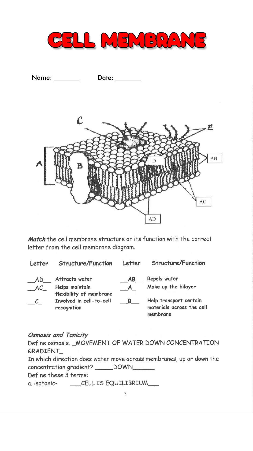 14 Best Images Of Cell Organelle Riddles Worksheet Answers Cells And 14 Best Images Of Cell Organelle Riddles Worksheet Answers Cells And
