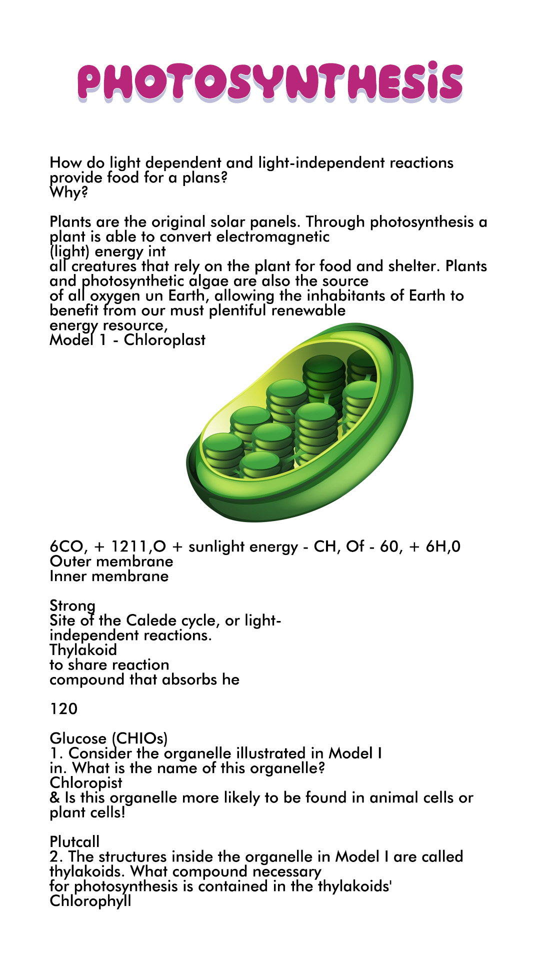 14 Best Images Of Cell Organelle Riddles Worksheet Answers Cells And
