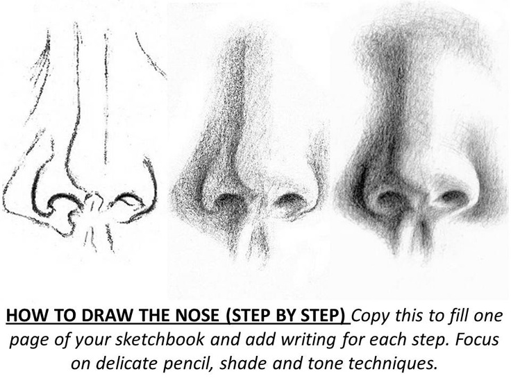 9 Best Images of Horse Terms Worksheet - Anatomical and Directional ... 9 Best Images of Horse Terms Worksheet - Anatomical and Directional ...