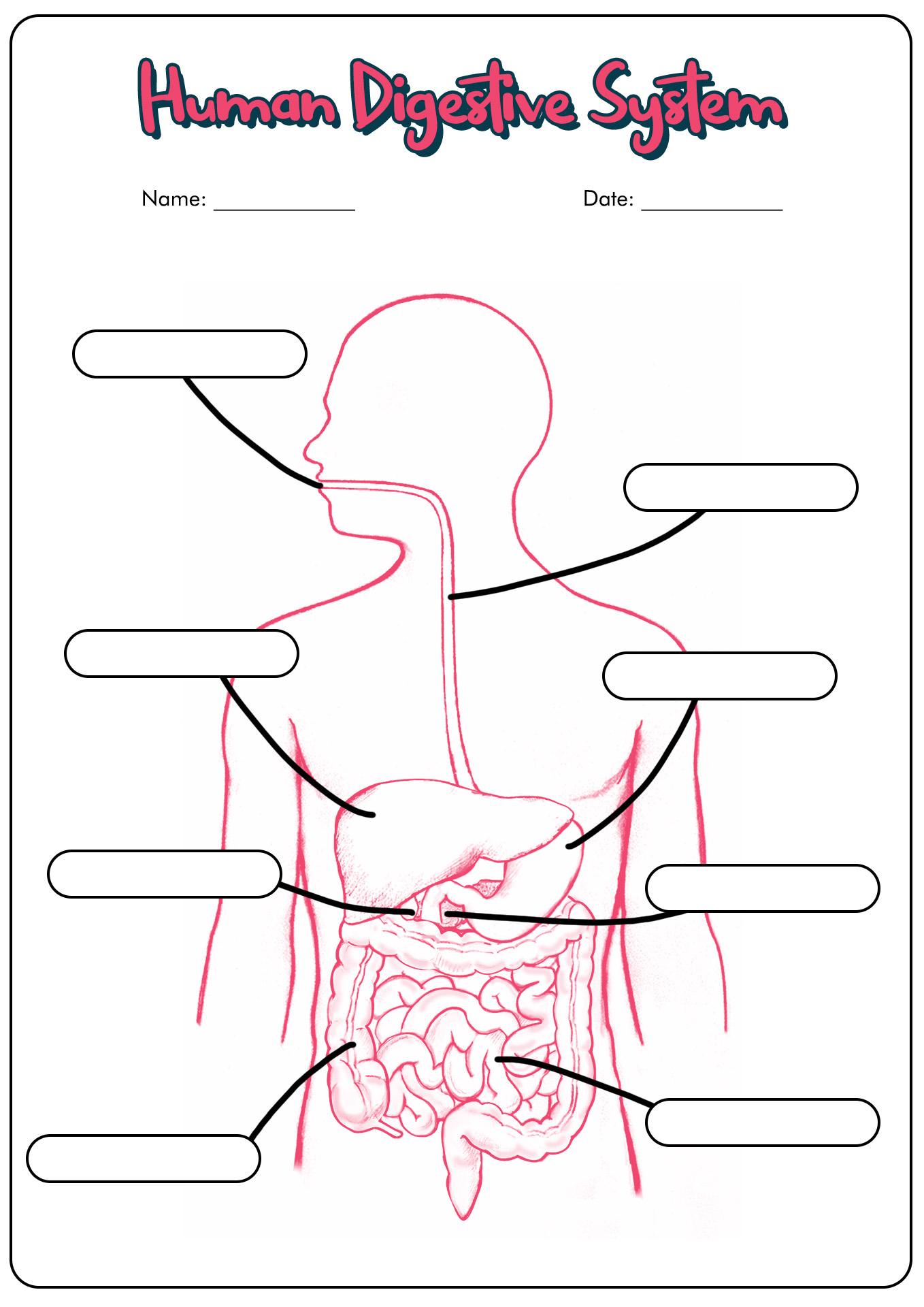 12 Best Images Of Worksheets Middle School Activity Guess Who I AM
