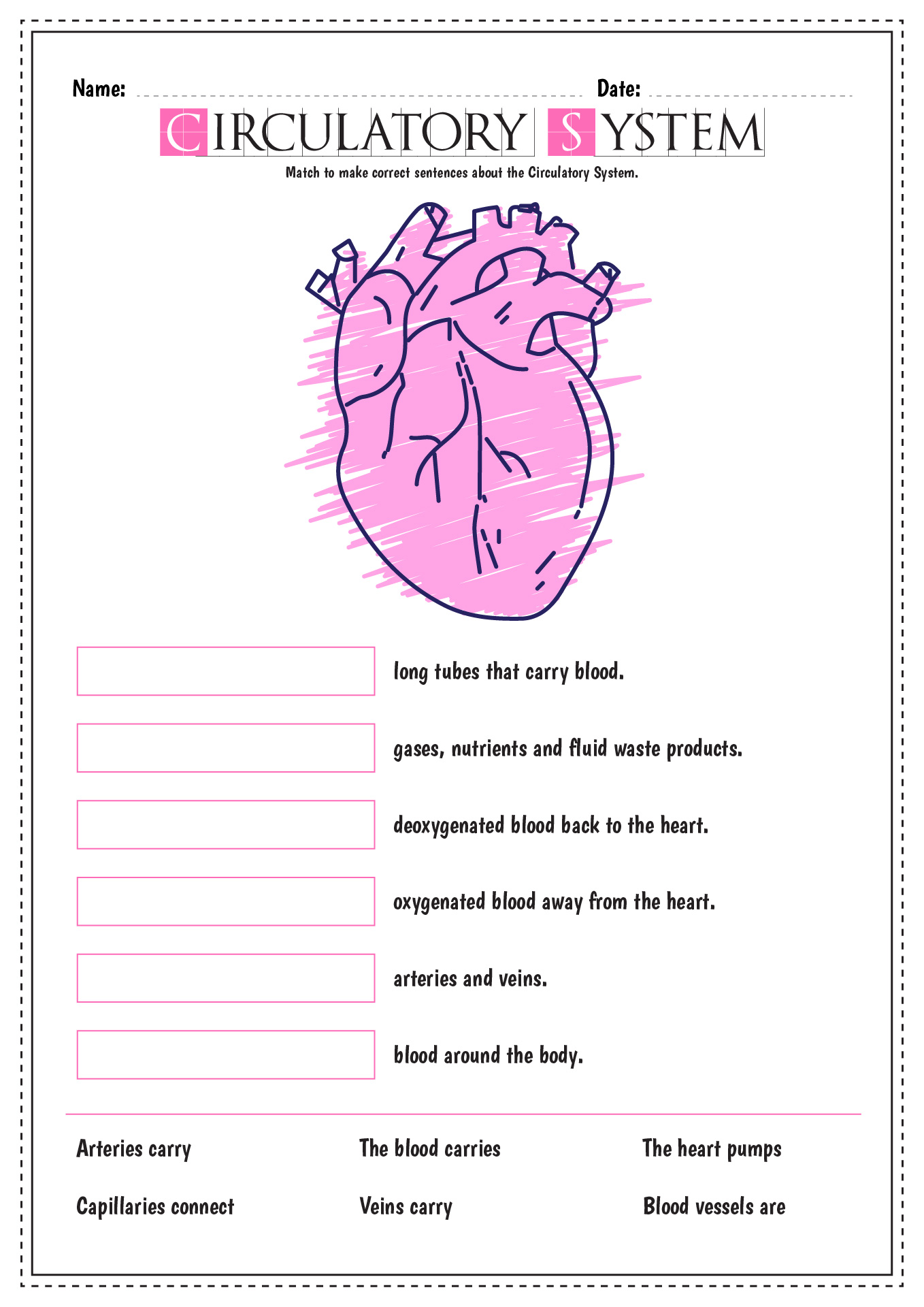Label The Circulatory System Worksheet Printable Word Searches