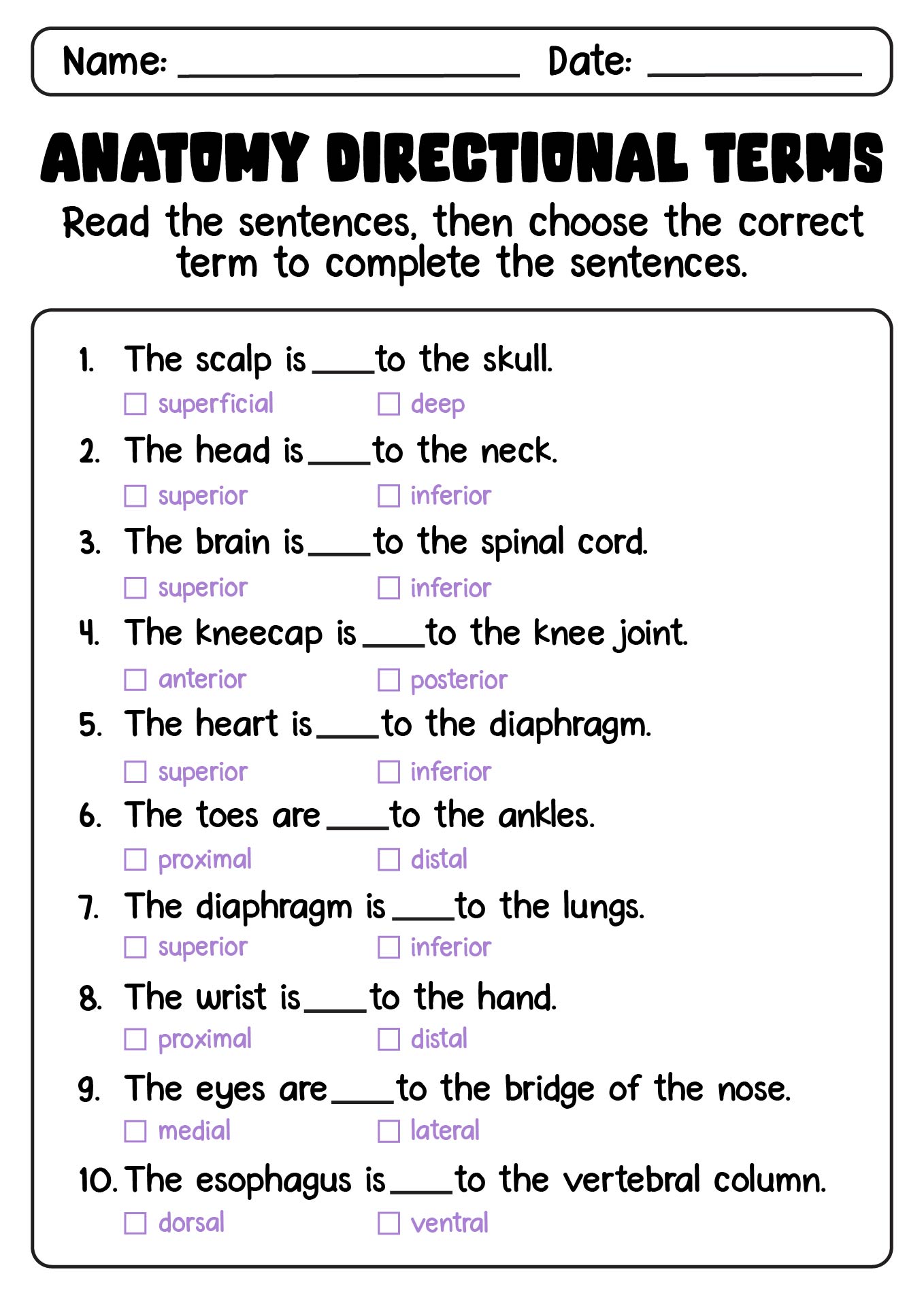 17 Best Images Of Worksheets Human Anatomy Muscular System Diagram 