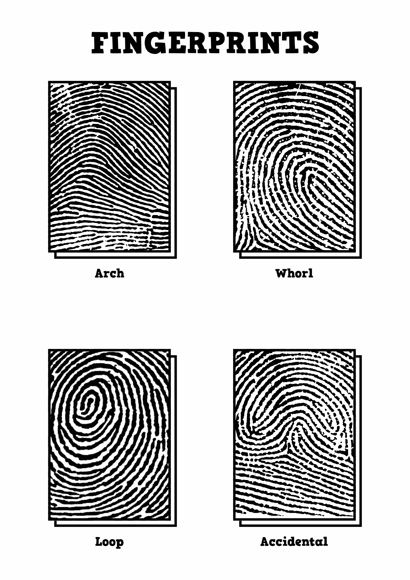 14 Best Images Of Fingerprint Detective Worksheet God Made Me Special 