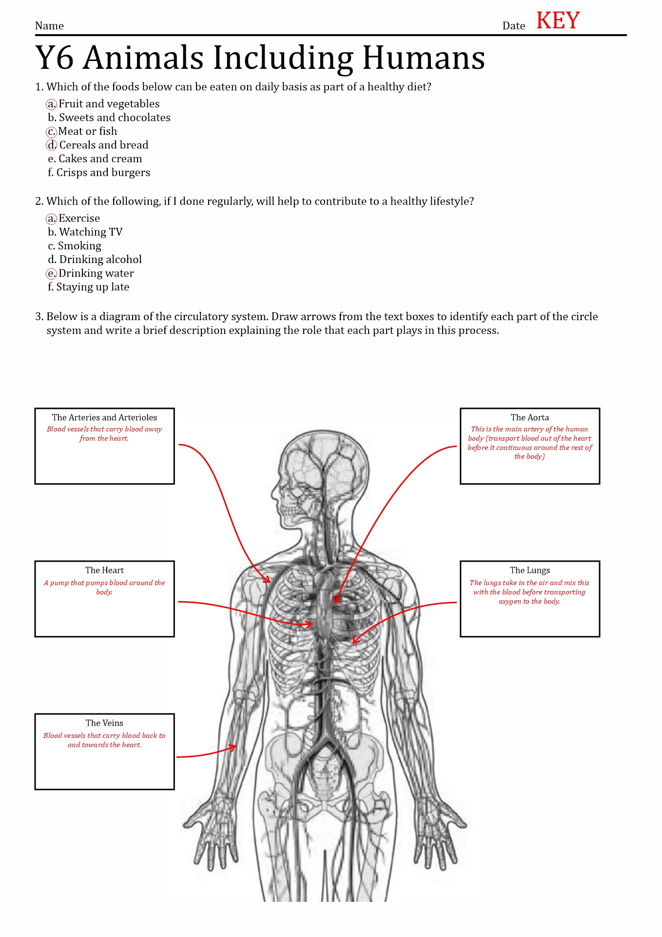 14 Best Images Of Fingerprint Detective Worksheet God Made Me Special 14 Best Images Of Fingerprint Detective Worksheet God Made Me Special