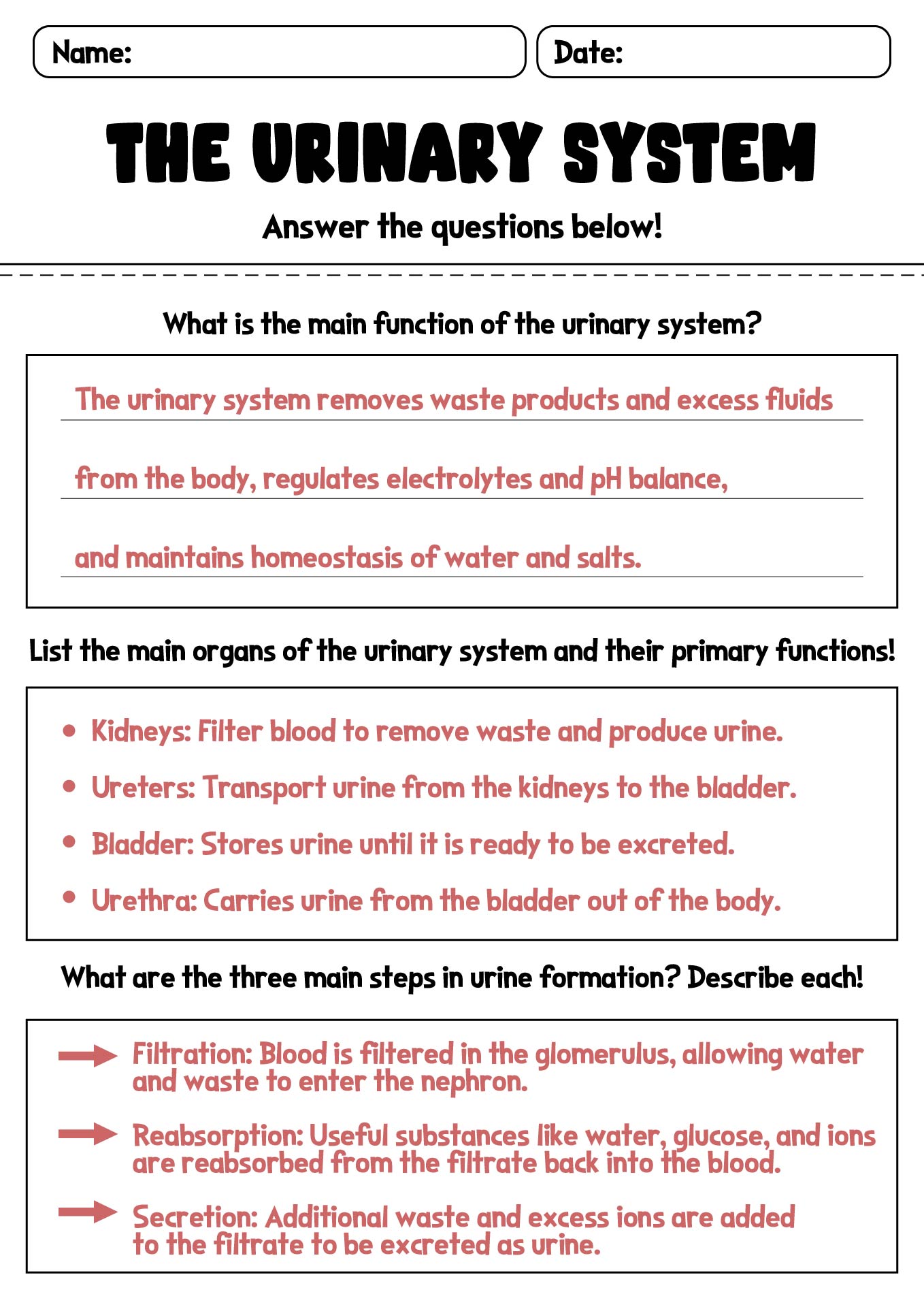 15 Best Images Of Anatomy And Physiology Worksheet Packets The 15 Best Images Of Anatomy And Physiology Worksheet Packets The