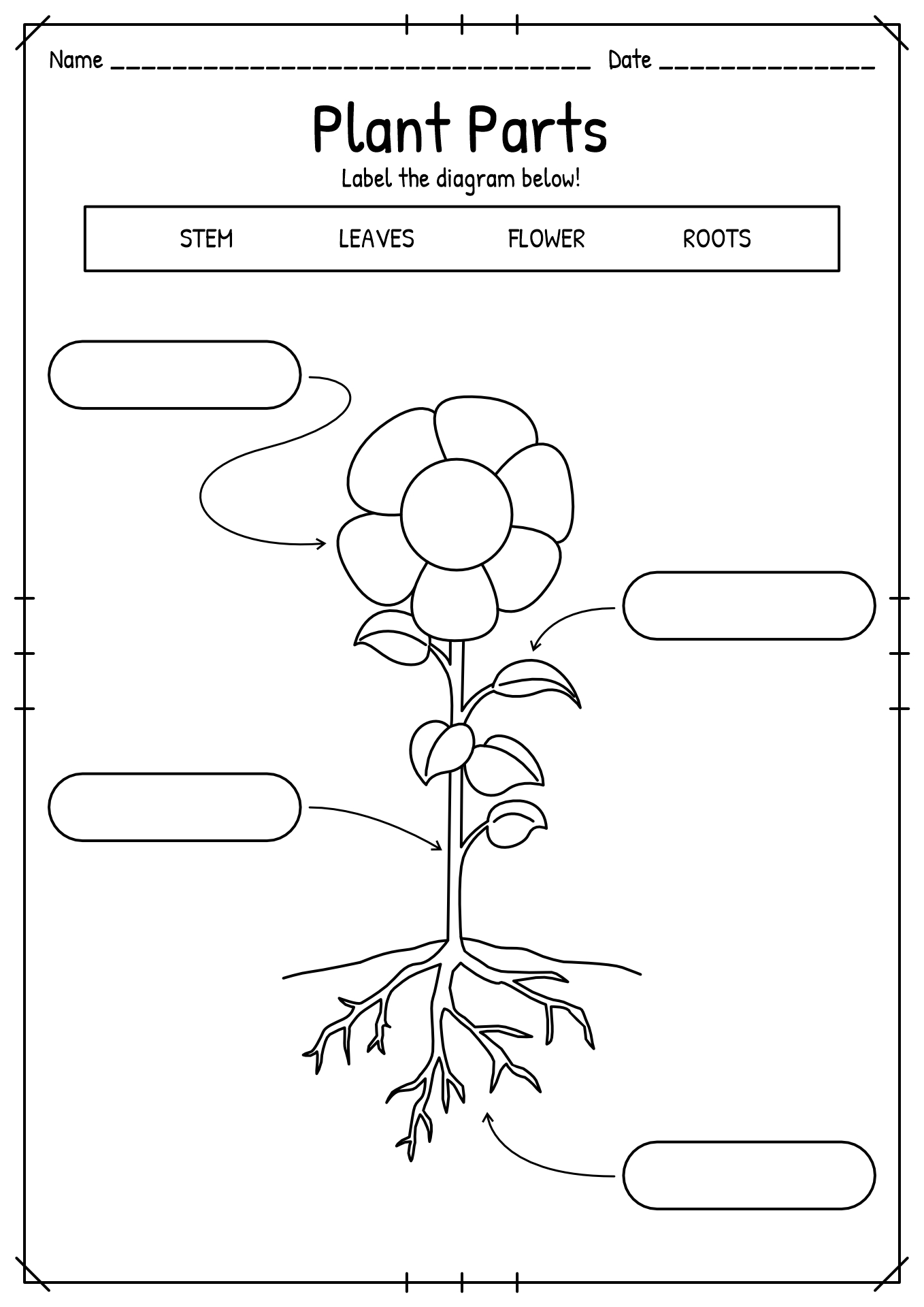 17 Matching Worksheet Template PDF Free PDF At Worksheeto