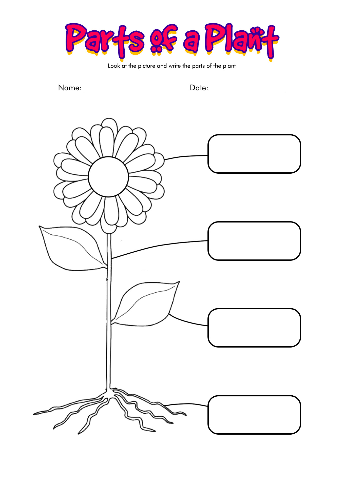 14 Plant Worksheets For Grade 1 Worksheeto