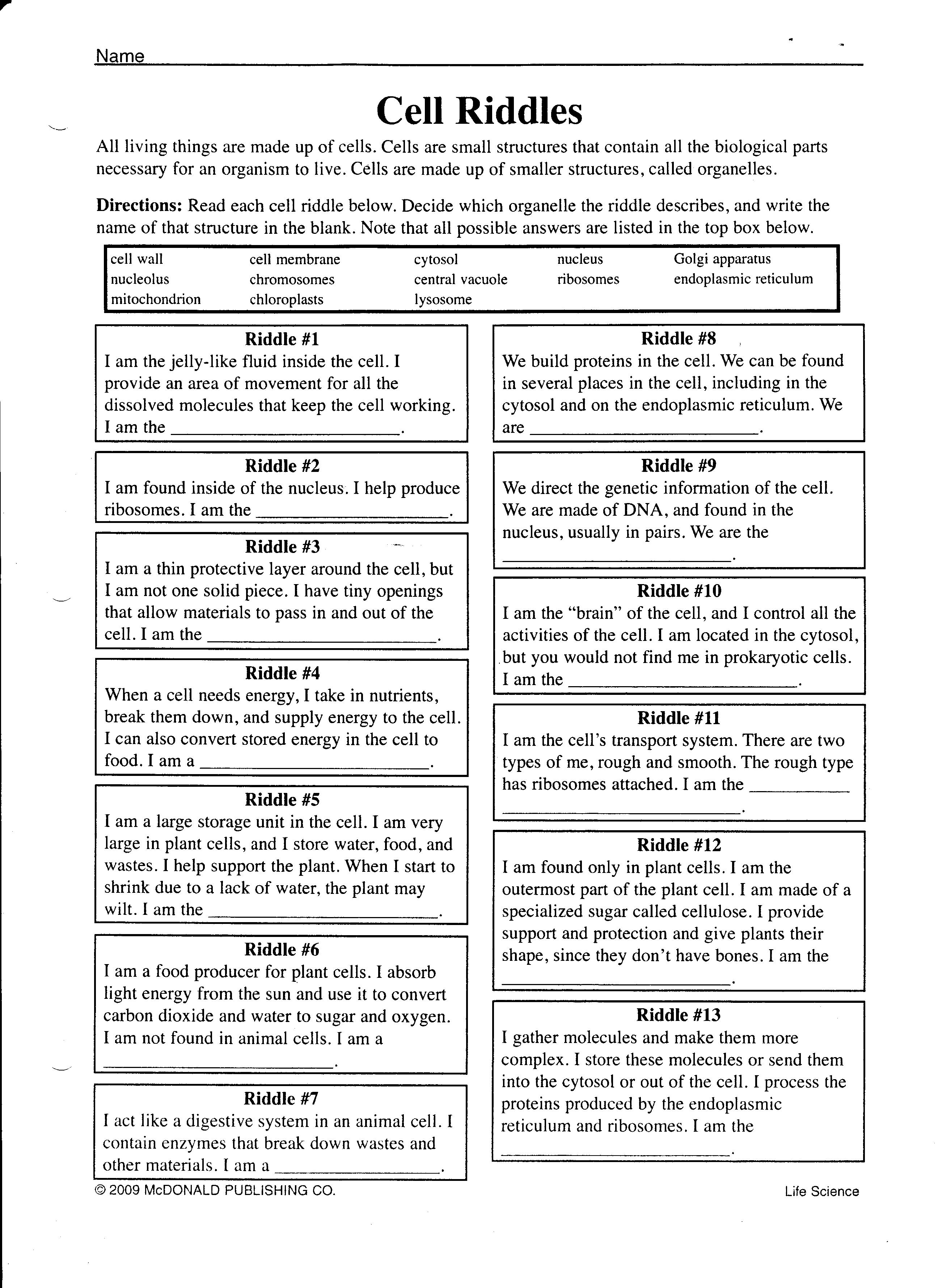 16 Cell Structure And Processes Worksheet / worksheeto.com 16 Cell Structure And Processes Worksheet / worksheeto.com