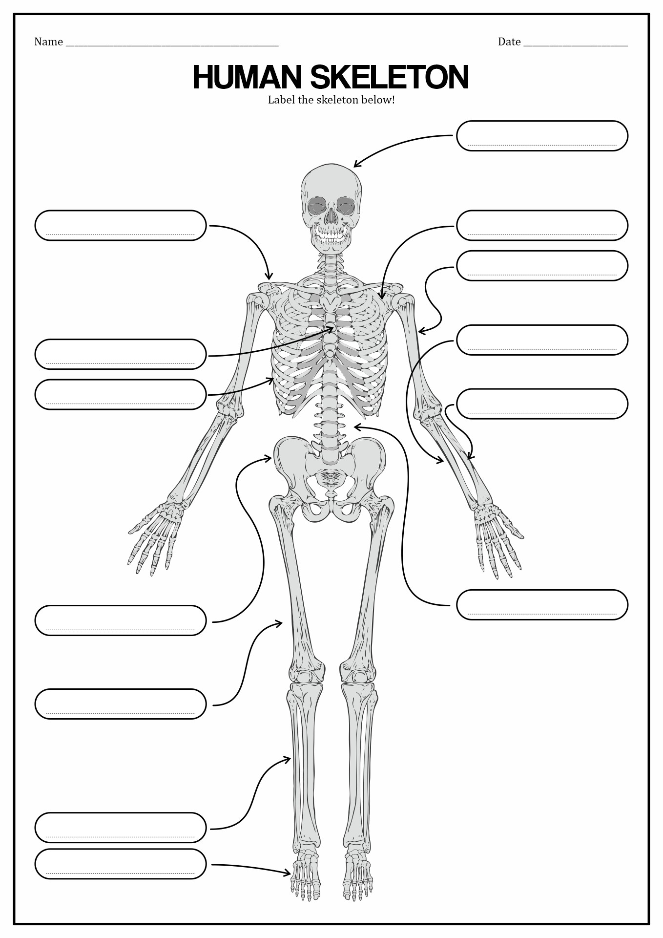 15 Worksheets Basic Human Needs Worksheeto