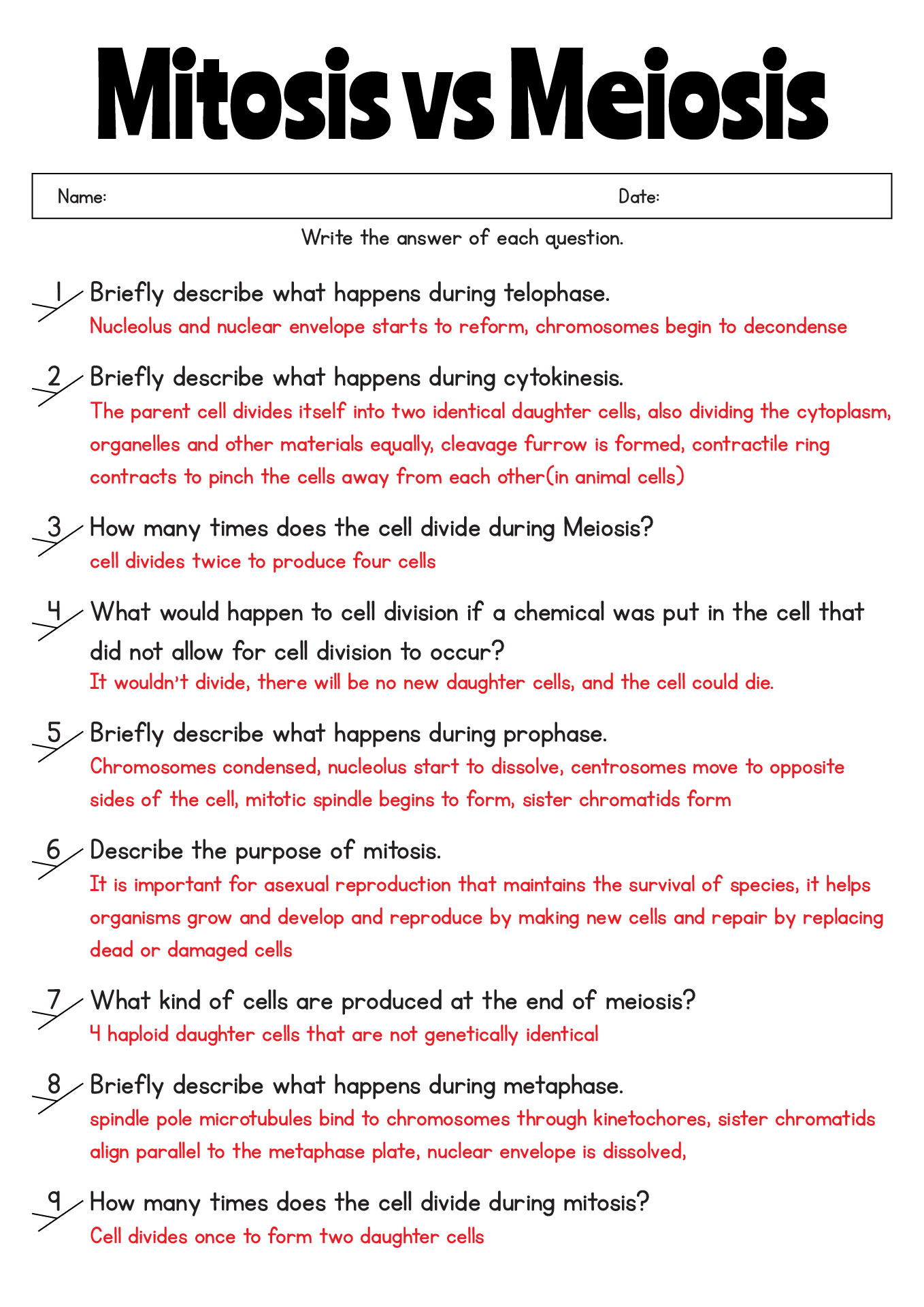 13 Identify Stages Of Mitosis Worksheet Worksheeto 13 Identify Stages Of Mitosis Worksheet Worksheeto