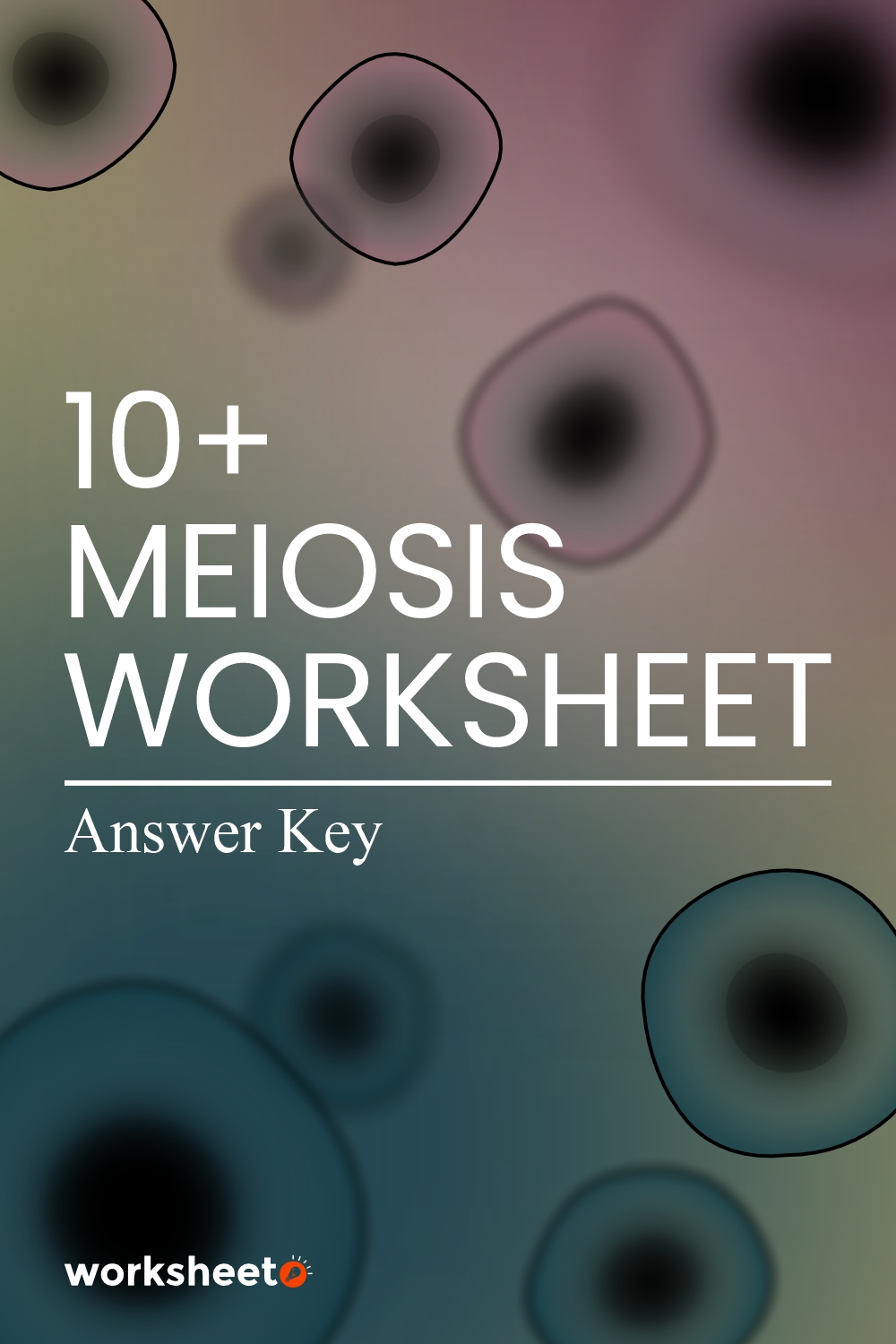 7 Meiosis Worksheet Answer Key Free PDF At Worksheeto